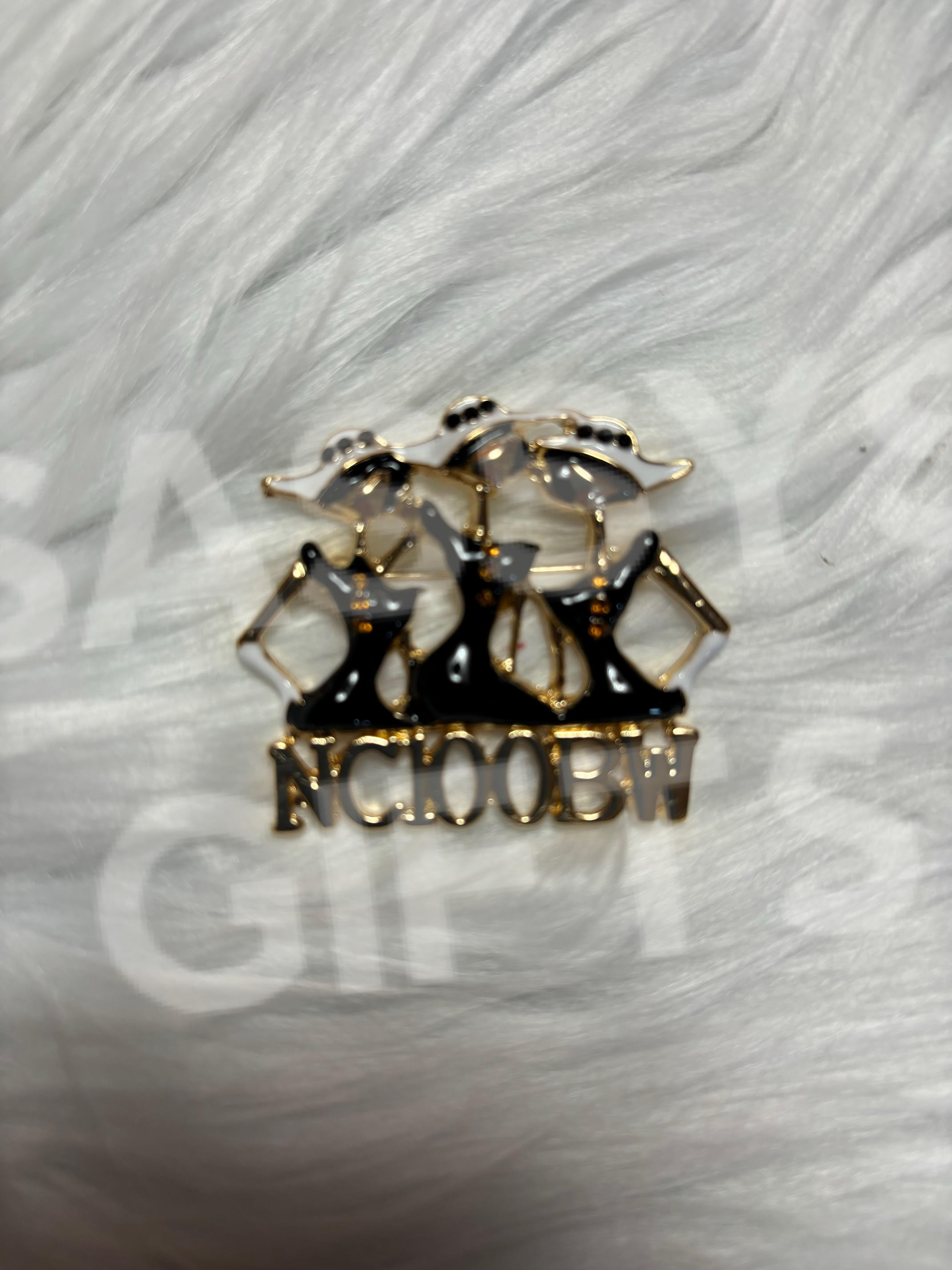 Nc100bw Sisters Pin Sassys Ts
